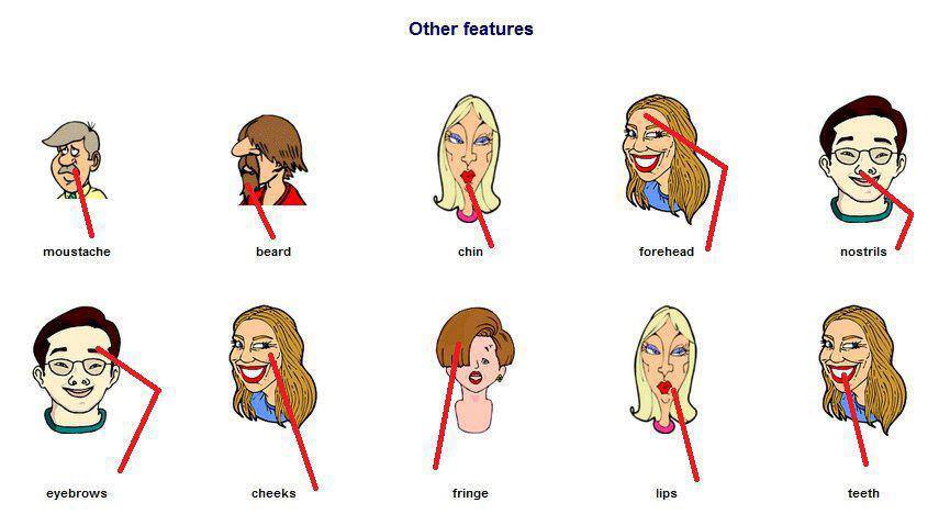 Learning English with pictures - English basics