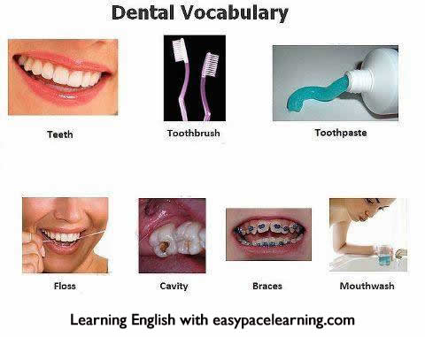 Learning English with pictures - Human body and health