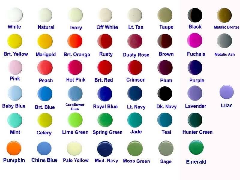 Salir C lula Somatica Entrelazamiento Basic Colors In English Converger Salir C lula Somatica Entrelazamiento Basic Colors In English Converger